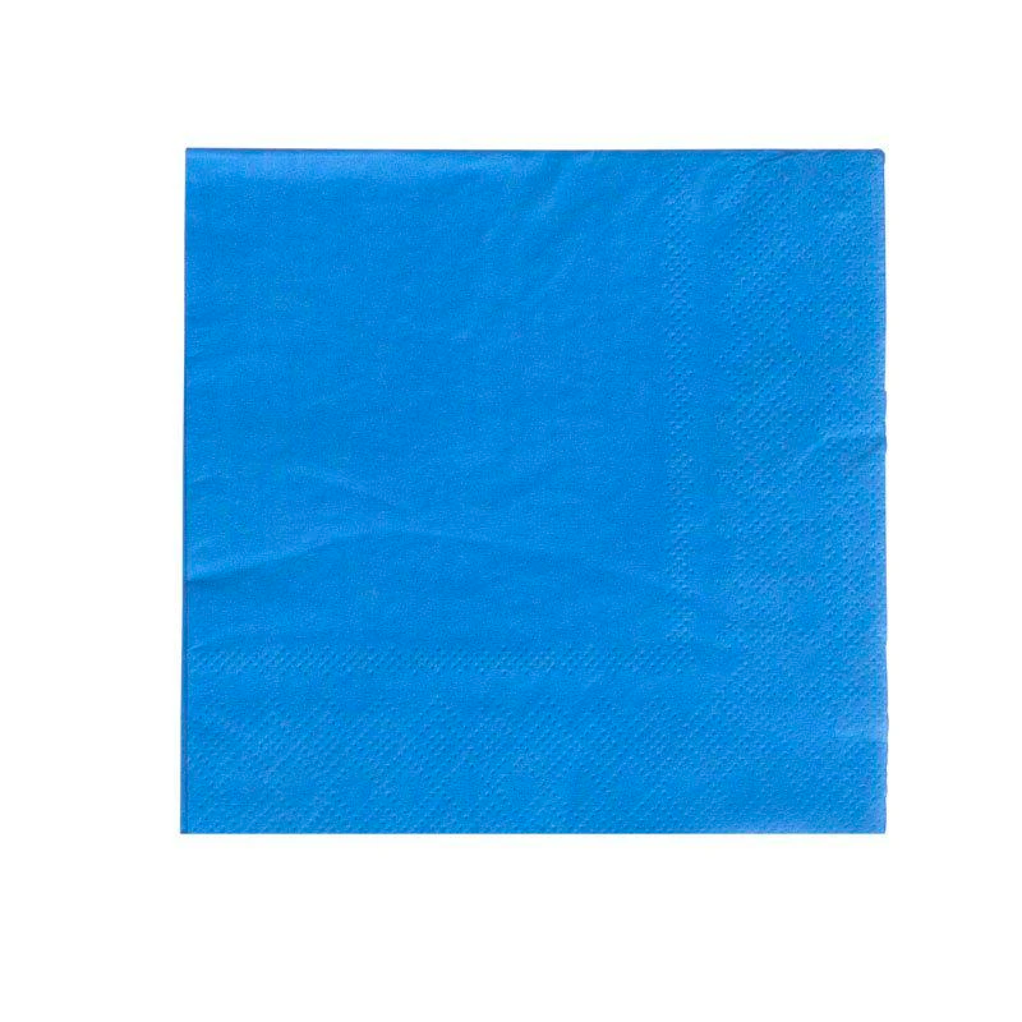 Pool Blue Party Napkins – Ralph and Luna Party Shop